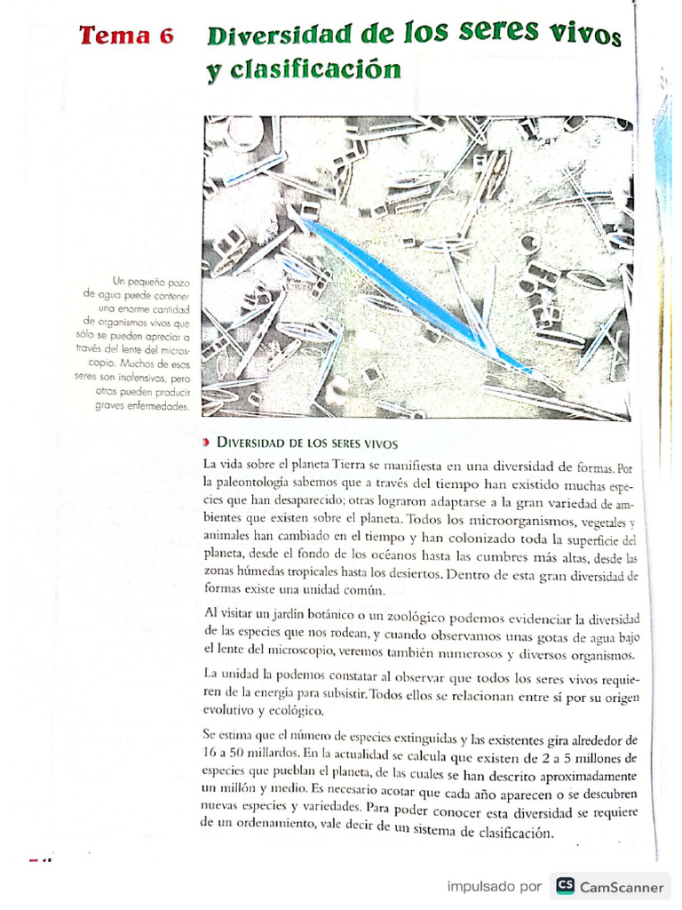 Tema 6. Diversidad de Los Seres Vivos y Clasificación. Jesus Hoyos ...
