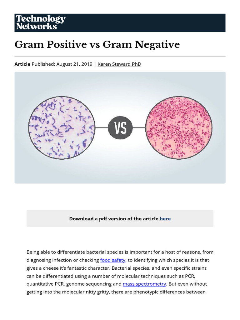 Gram Positive vs Gram Negative Bacteria | PDF | Gram Positive Bacteria ...