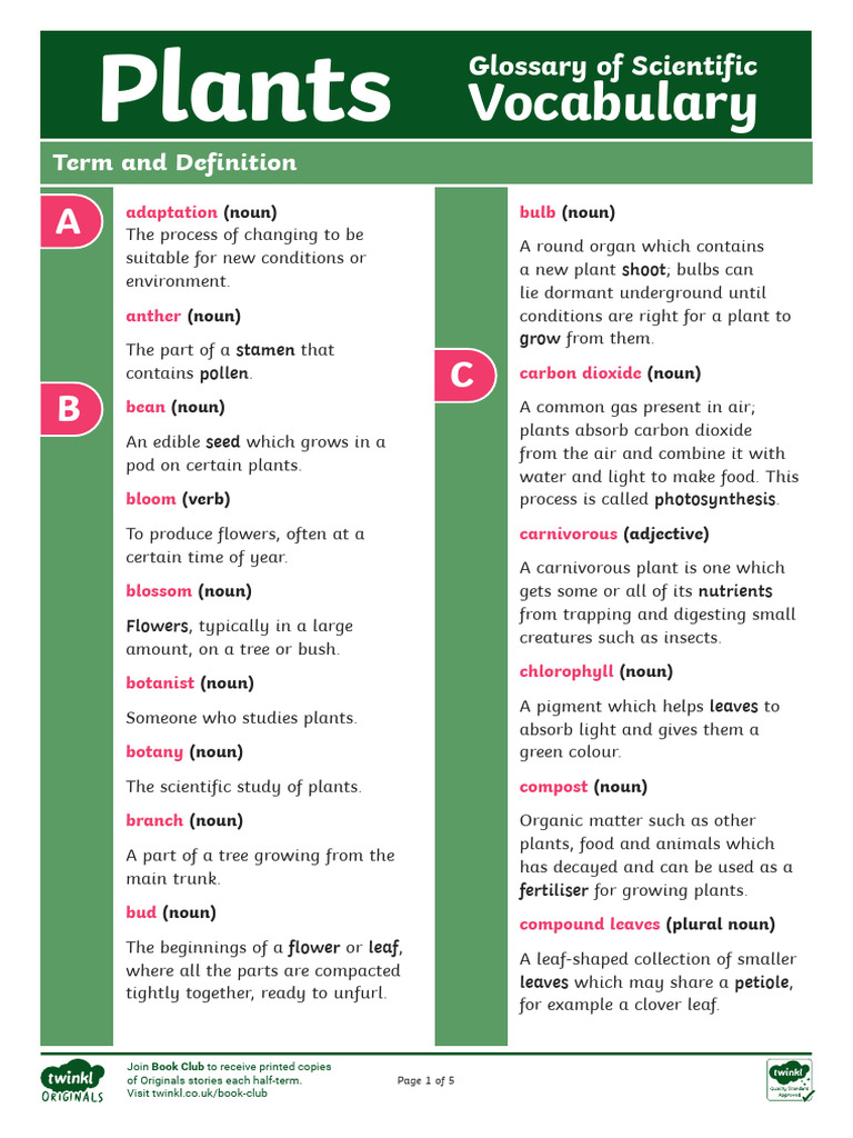 Plant Vocabulary for Grade 5 Science | PDF | Plants | Leaf