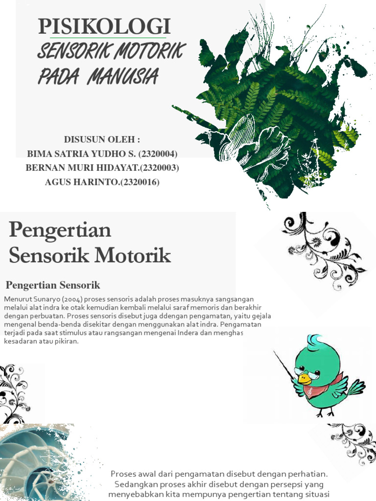 Proses Sensorik dan Motorik Manusia | PDF