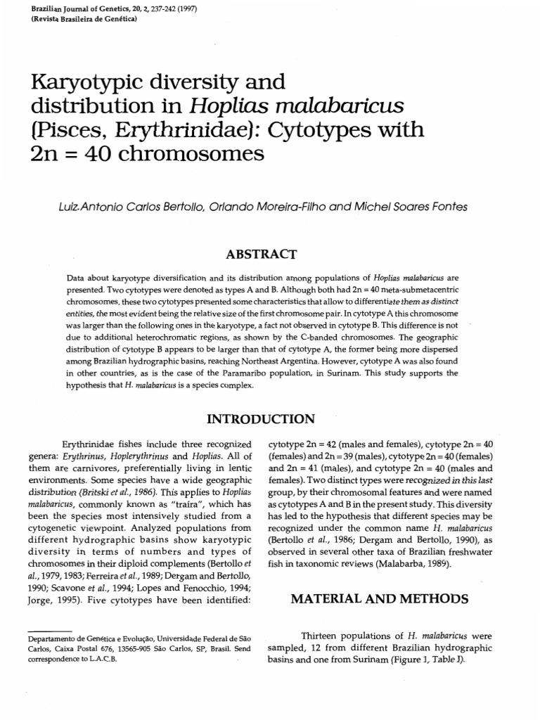 Bertollo, 1997 | PDF