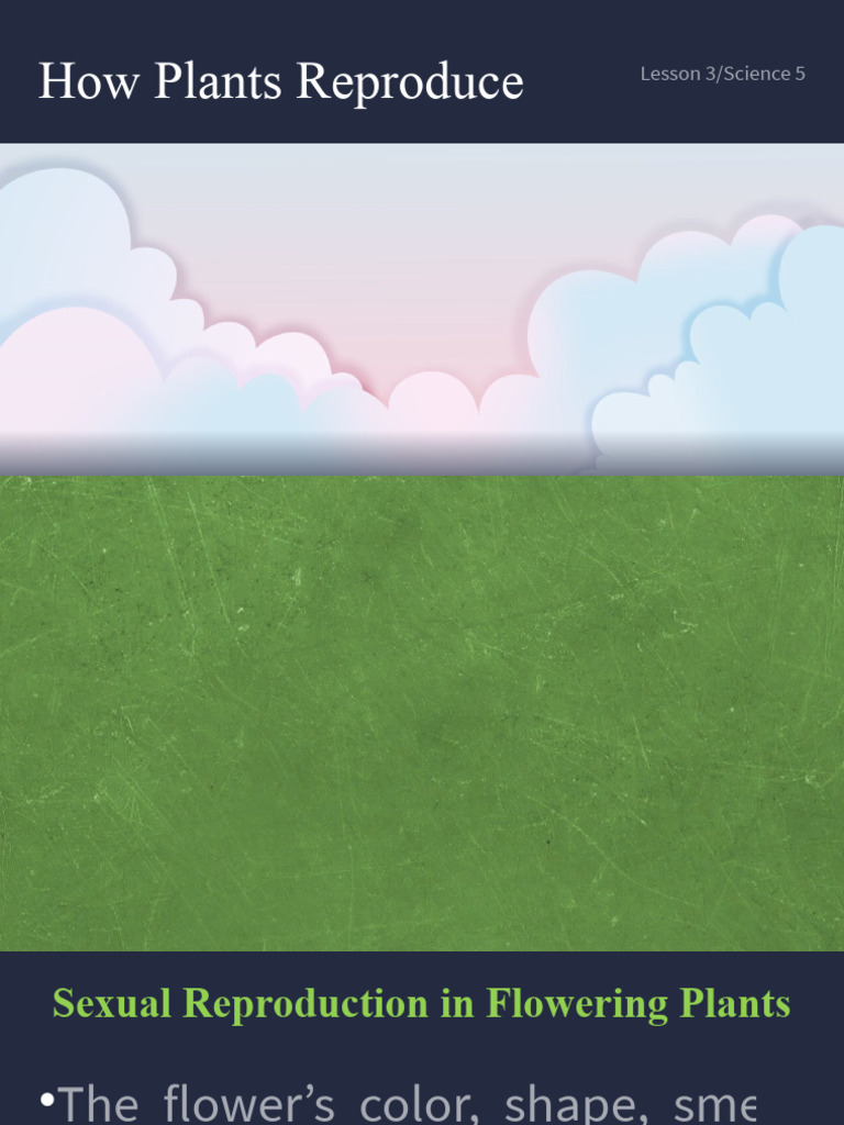 Grade 5 Science How Plants Reproduce | PDF | Plant Reproduction ...