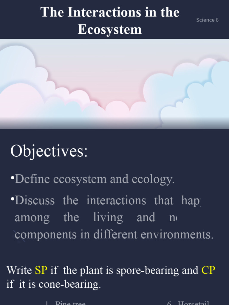 The Interactions in The Ecosystem Grafe 6 | PDF | Coral Reef | Rainforest
