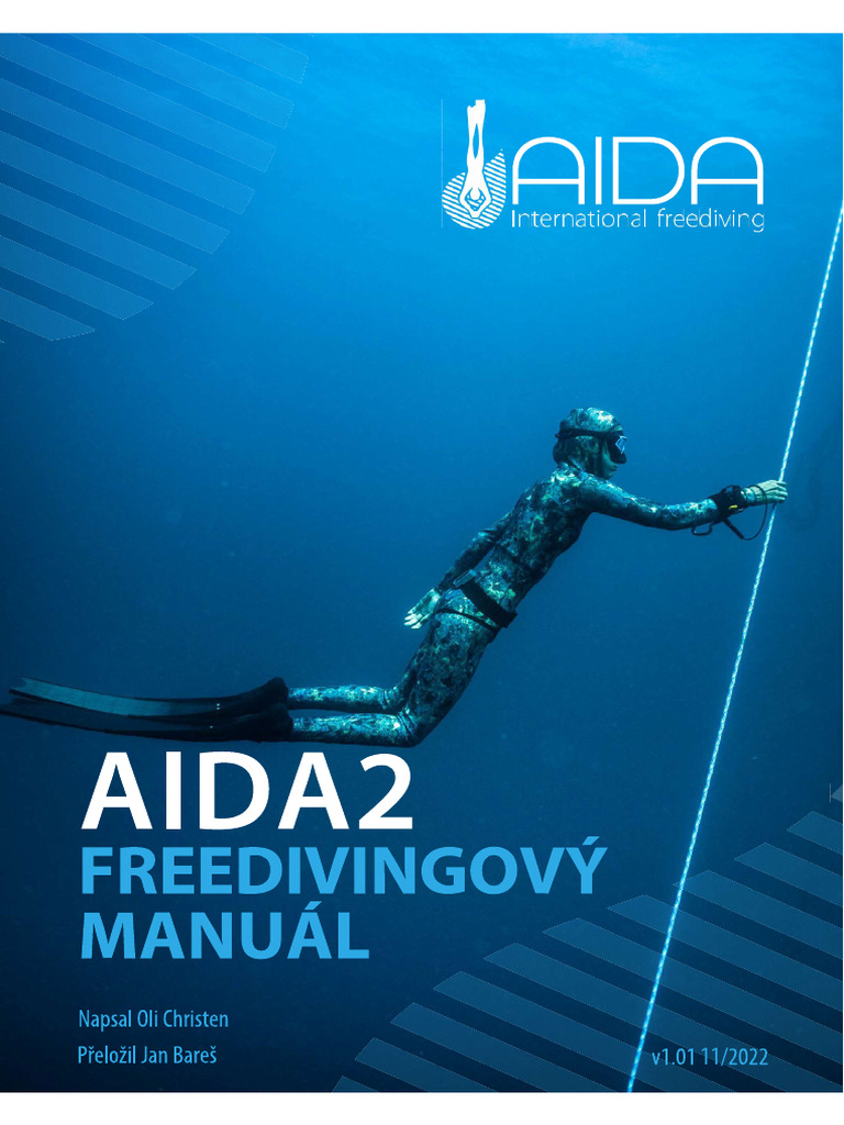 Aida2 český Manuál Finál Pdf