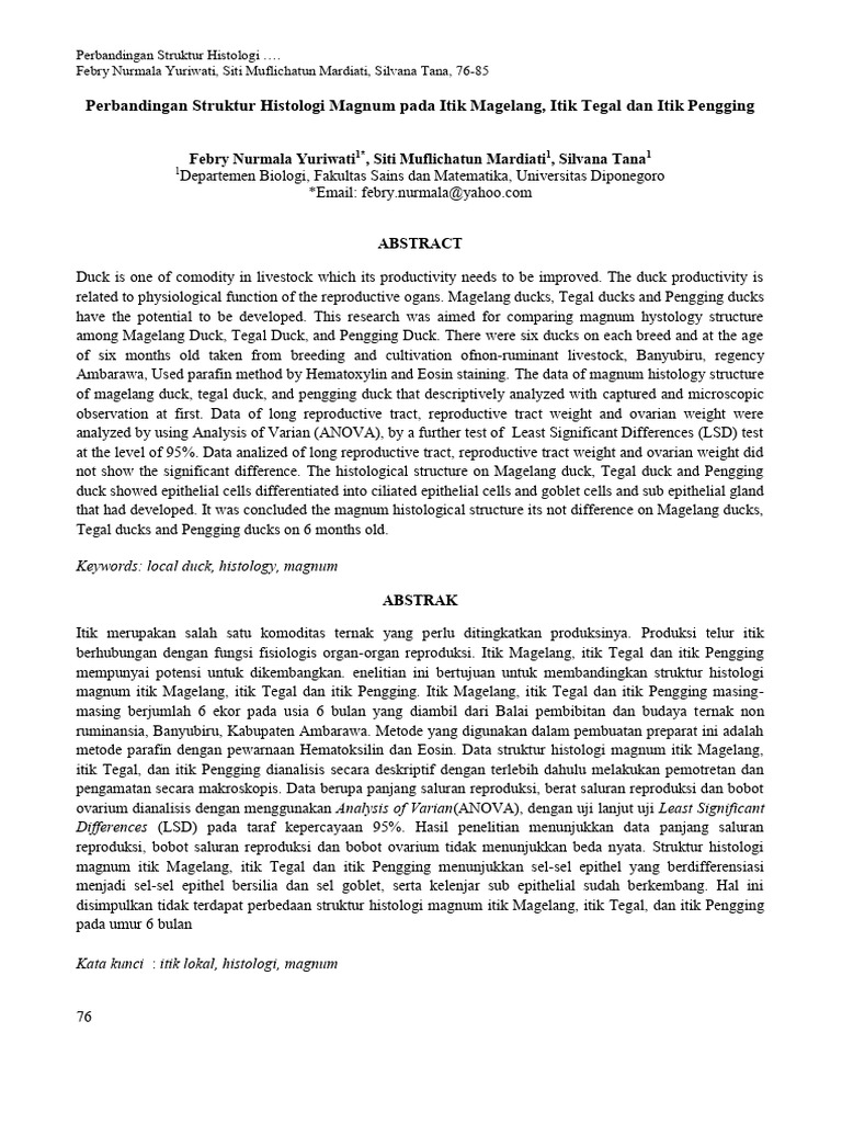 Perbandingan Histologi Magnum Itik Magelang, Tegal, Pengging | PDF