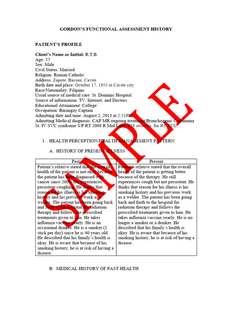 Gordon's Functional Assessment for R.T.B. | PDF