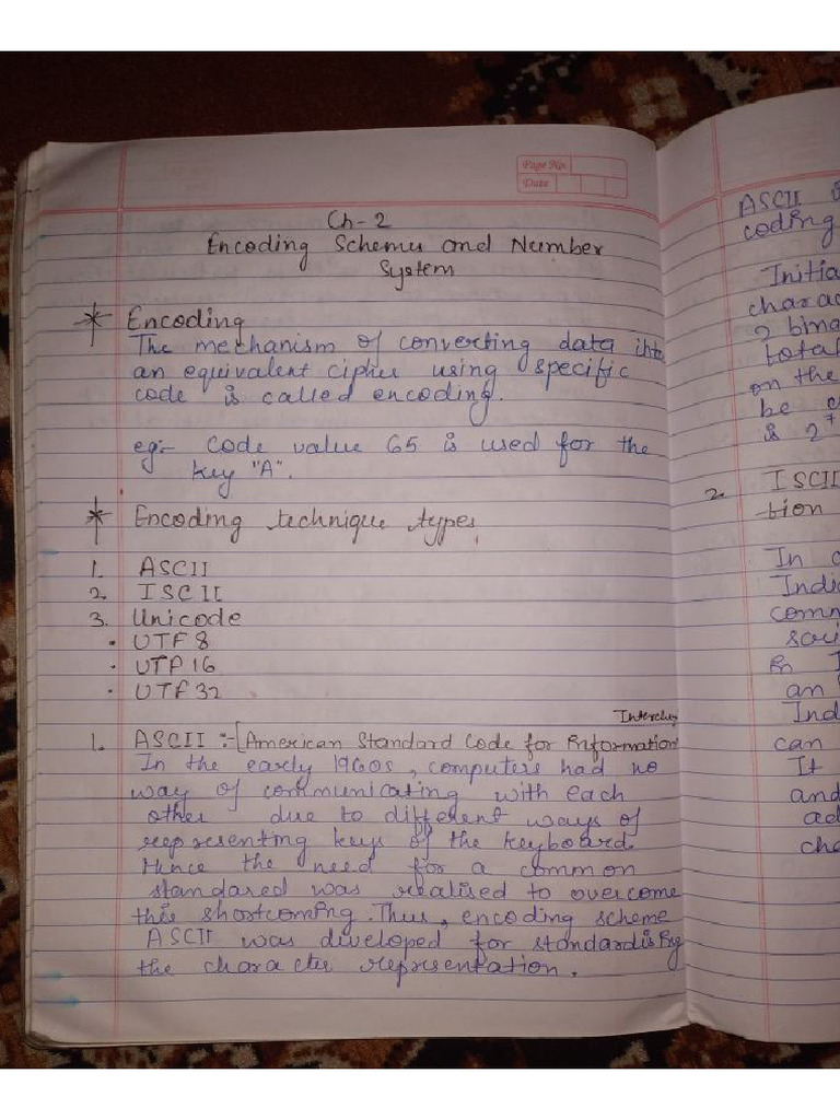 CH-2 Encoding Schemes and Number System | PDF