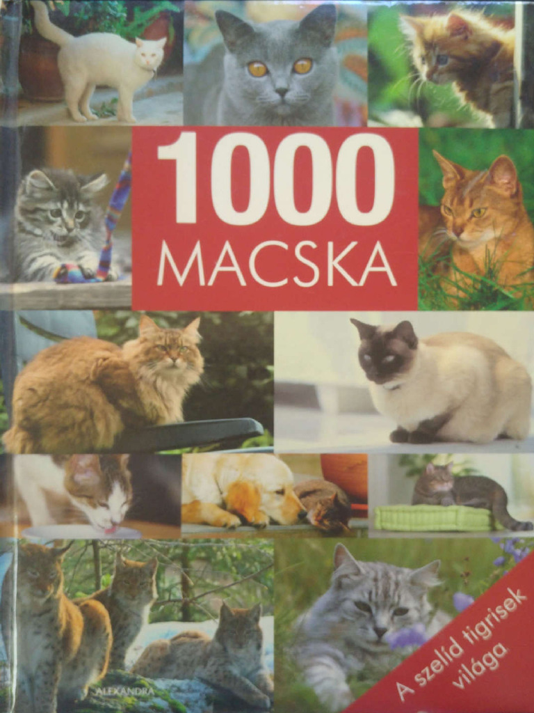 1000 Macska - 1. Fele | PDF
