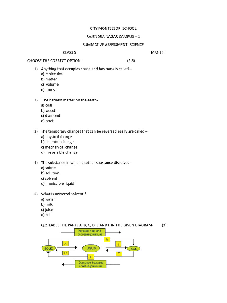 City Montessori School-1 | PDF