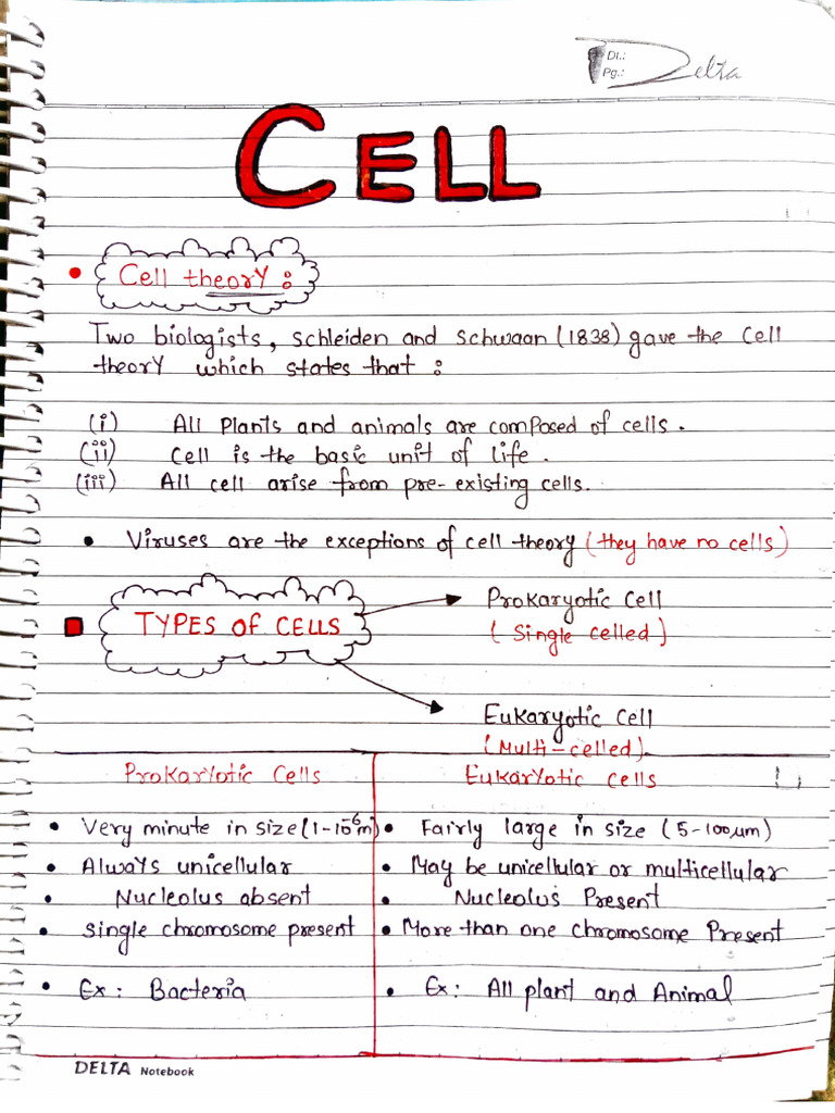 Yash Cell Notes | PDF