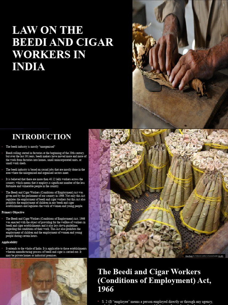 Beedi Workers' Rights and Regulations | PDF | Employment | Labour Law