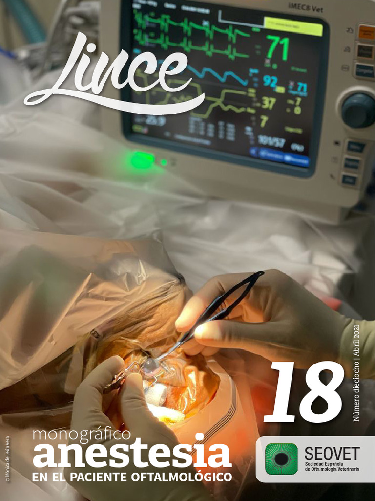 Lince #18 | PDF | Dolor | Hipertensión