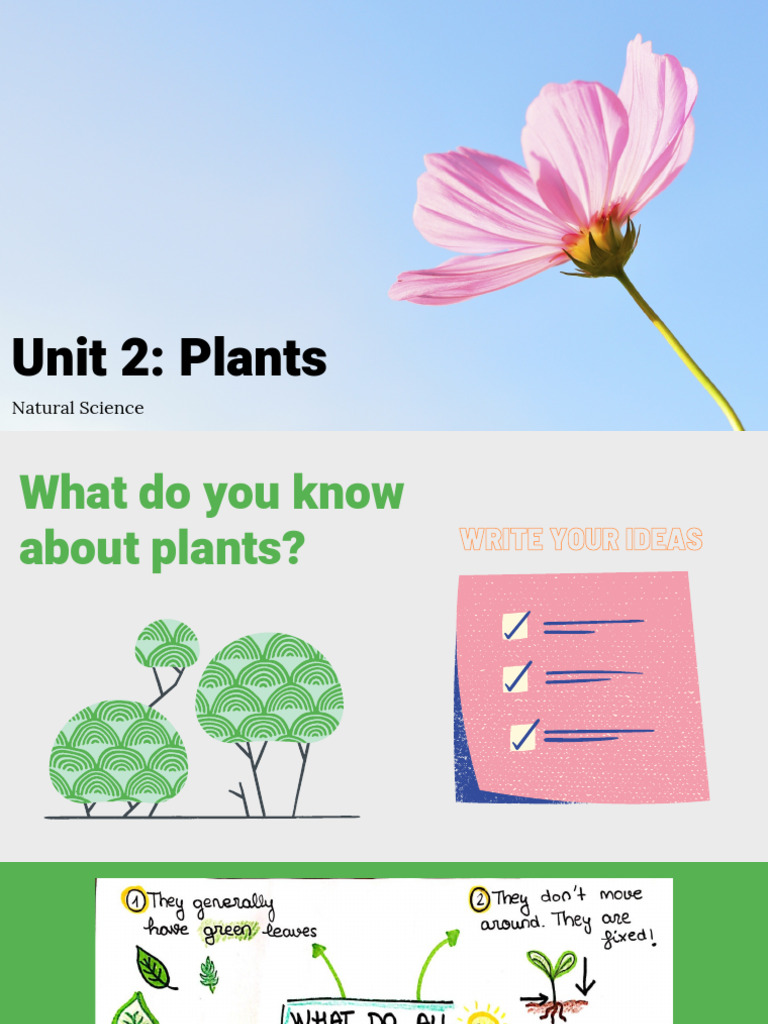 Unit 2: Plants: Natural Science | PDF