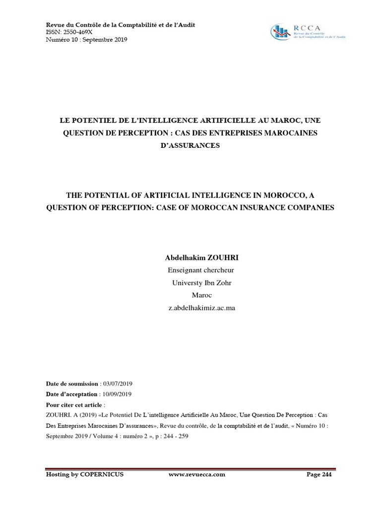 Le Potentiel de L'intelligence Artificielle Au Maroc, Une Question de Perception | PDF