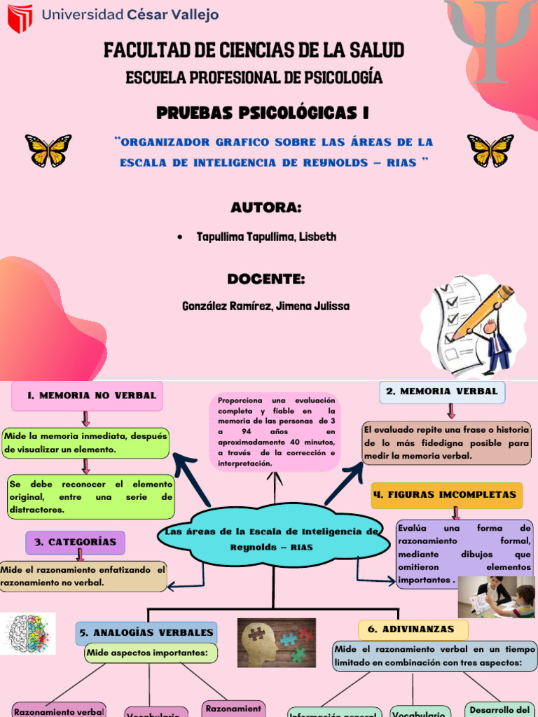Organizador Gráfico - Pruebas Psicológicas I | PDF