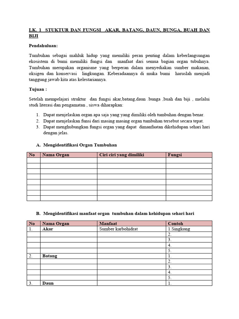 LK.1. Struktur Dan Fungsi Organ Tumbuhan | PDF