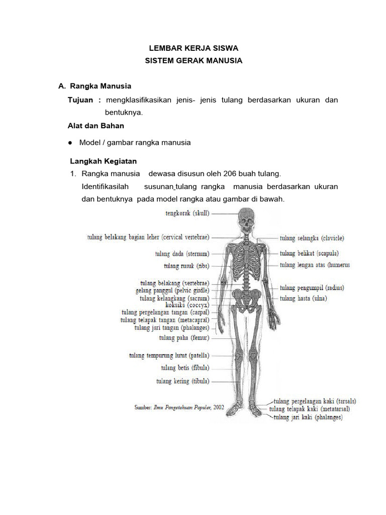 LKPD 1. Sistem Gerak (Tulang Dan Sendi) | PDF