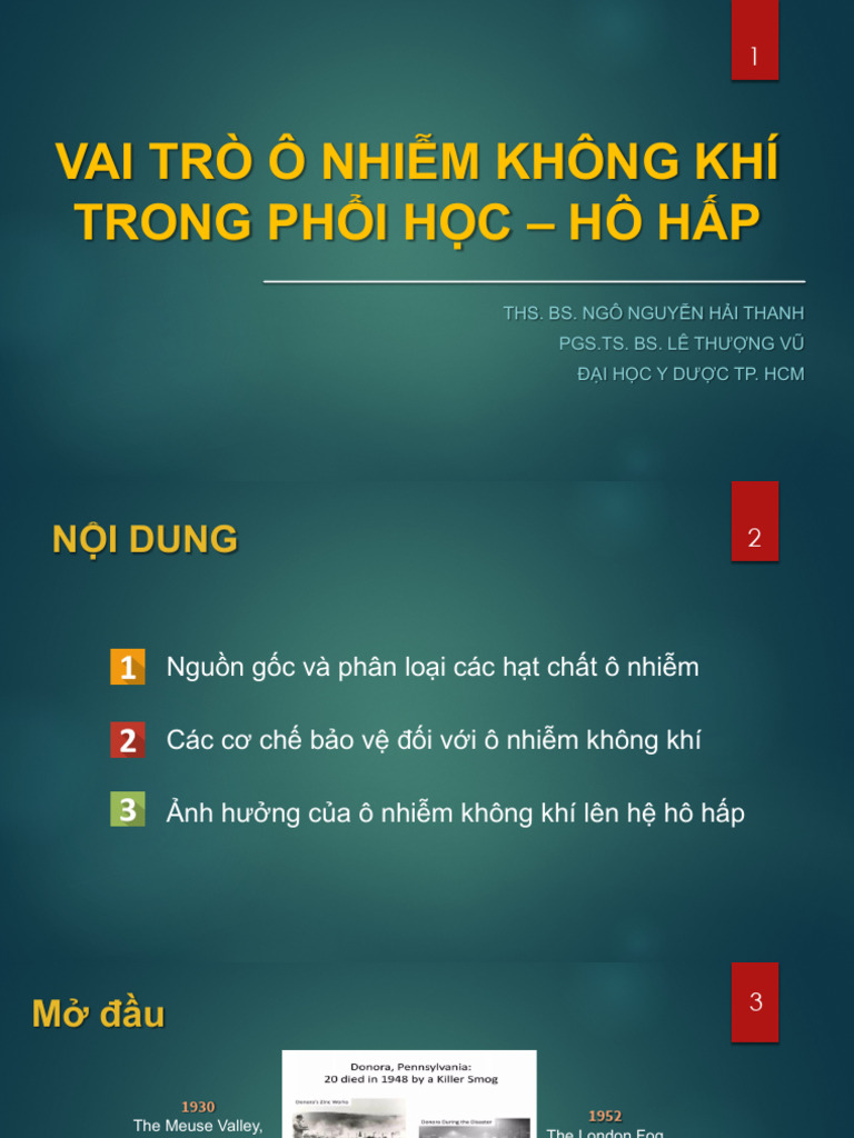 Bài 2-Vai Tro o Nhiem Khong Khi Trong Phổi Học - Ho Hap | PDF