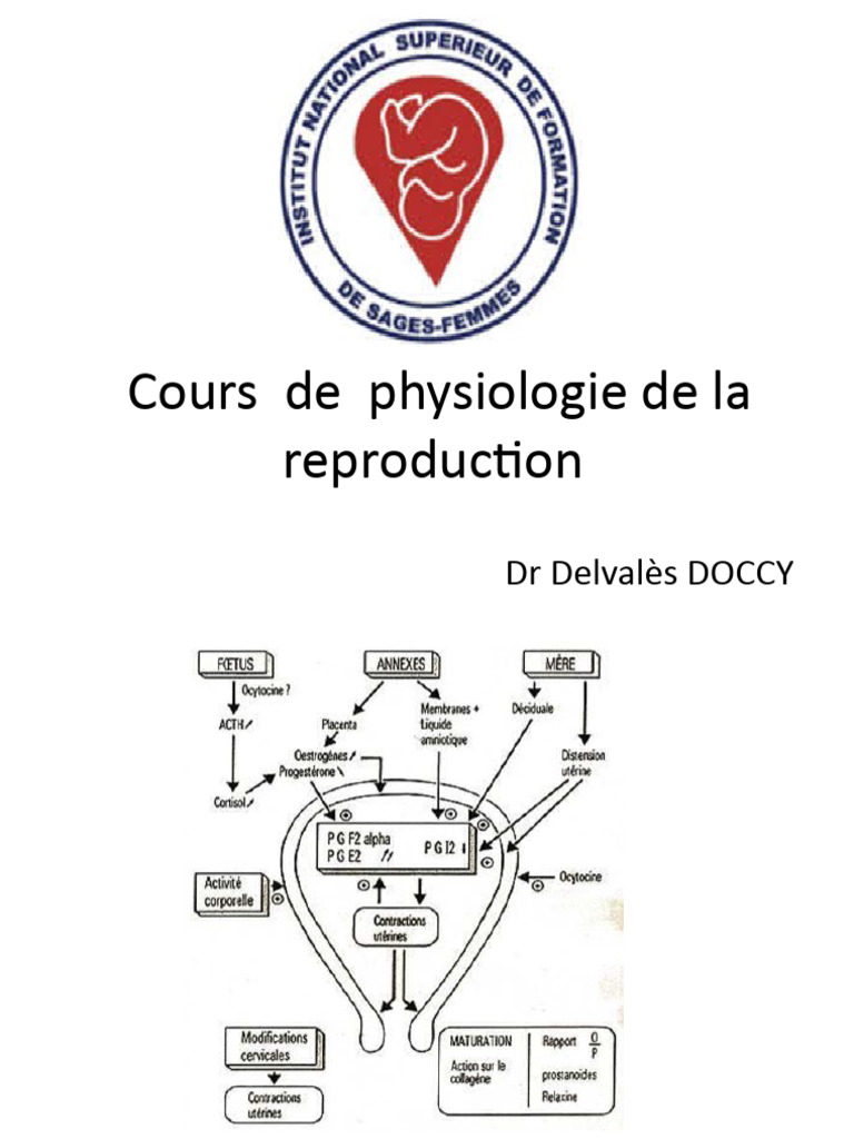 Schéma des contractions utérines | PDF | Utérus | Accouchement