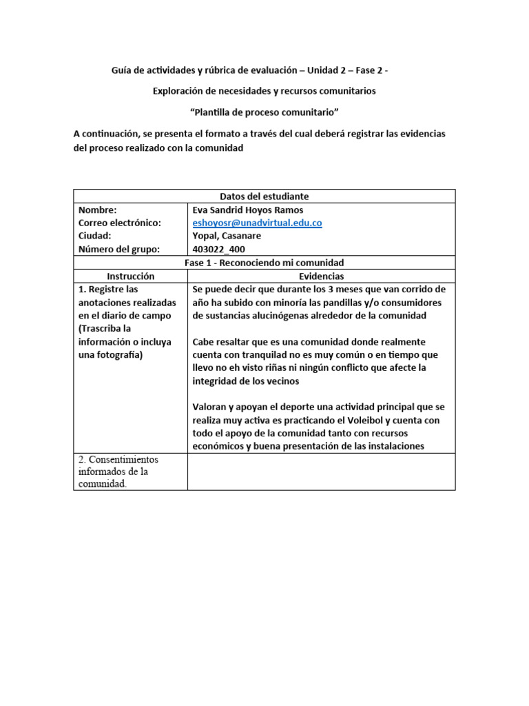 Plantilla de Proceso Comunitario | PDF