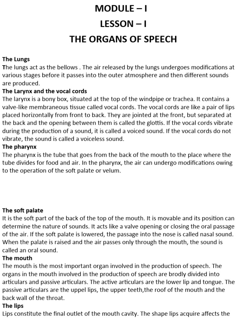 2 Organs Of Speech Speech Mechanism PDF Anatomy Respiratory System