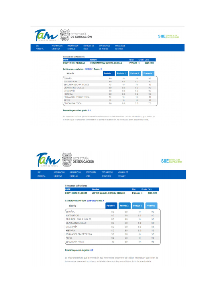 Calificaciones Manu 4 Y5 | PDF