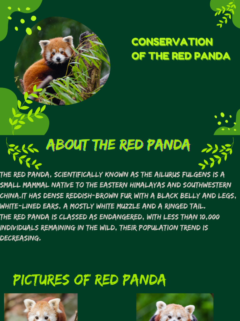 Conservation | PDF | Giant Panda | Endangered Species