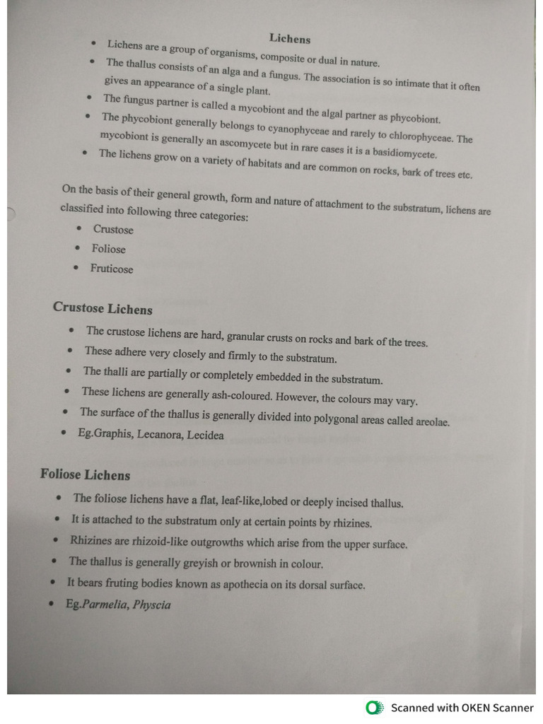 Lichen - Botany Practical | PDF