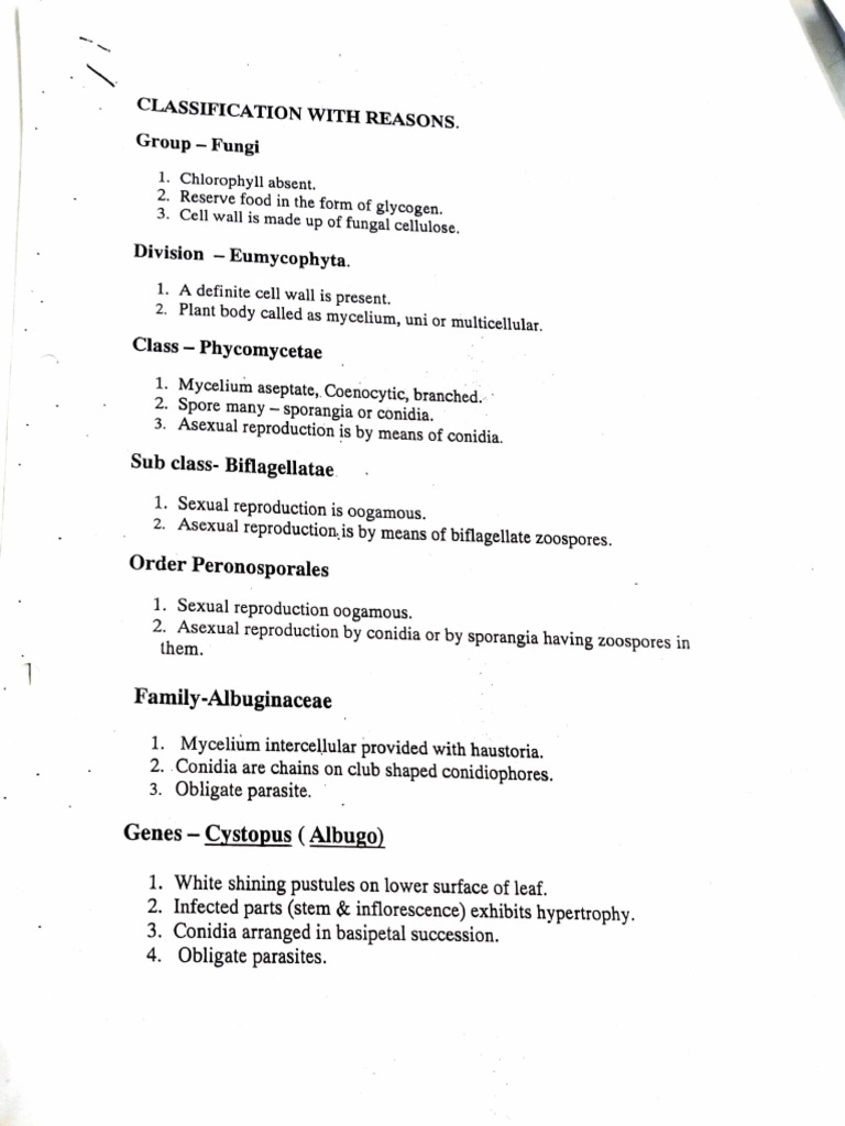 Life Cycle of Cystopus | PDF | Fungus | Sexual Reproduction