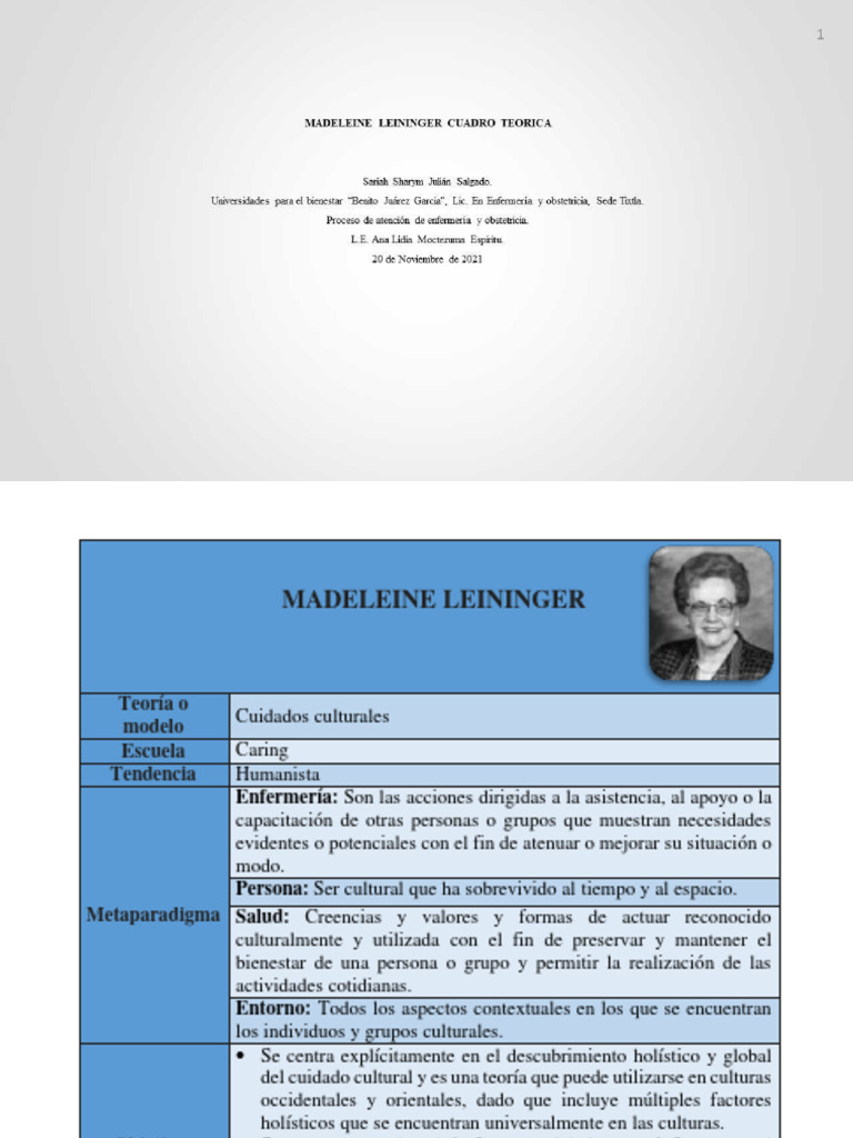 Modelo Transcultural de Leininger | PDF | Enfermería | Holismo