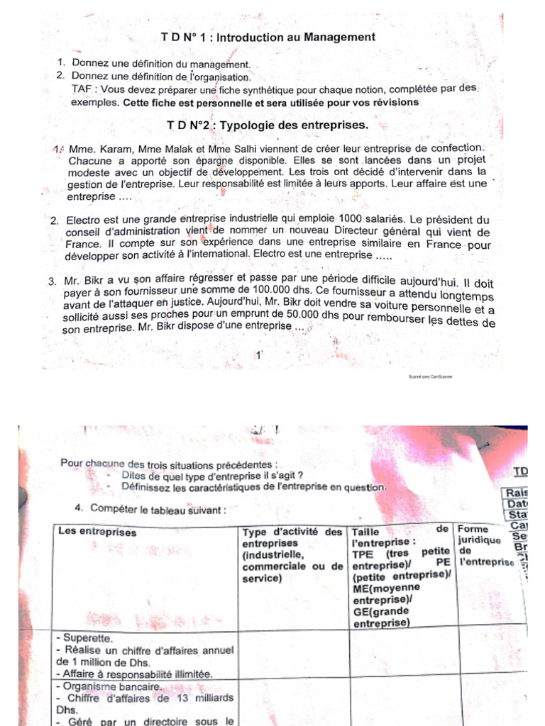 TD N°1 Management | PDF