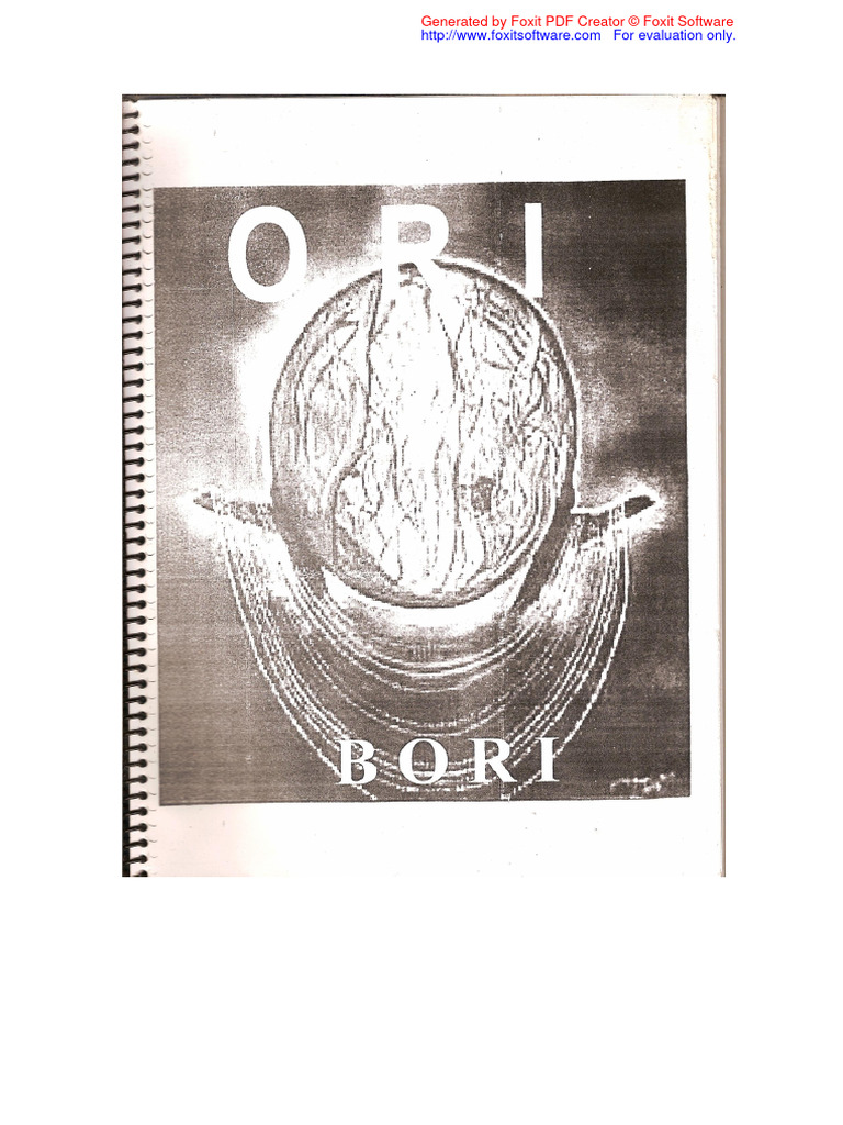 Candomblé - Ori e Bori | PDF | Text | Information Technology