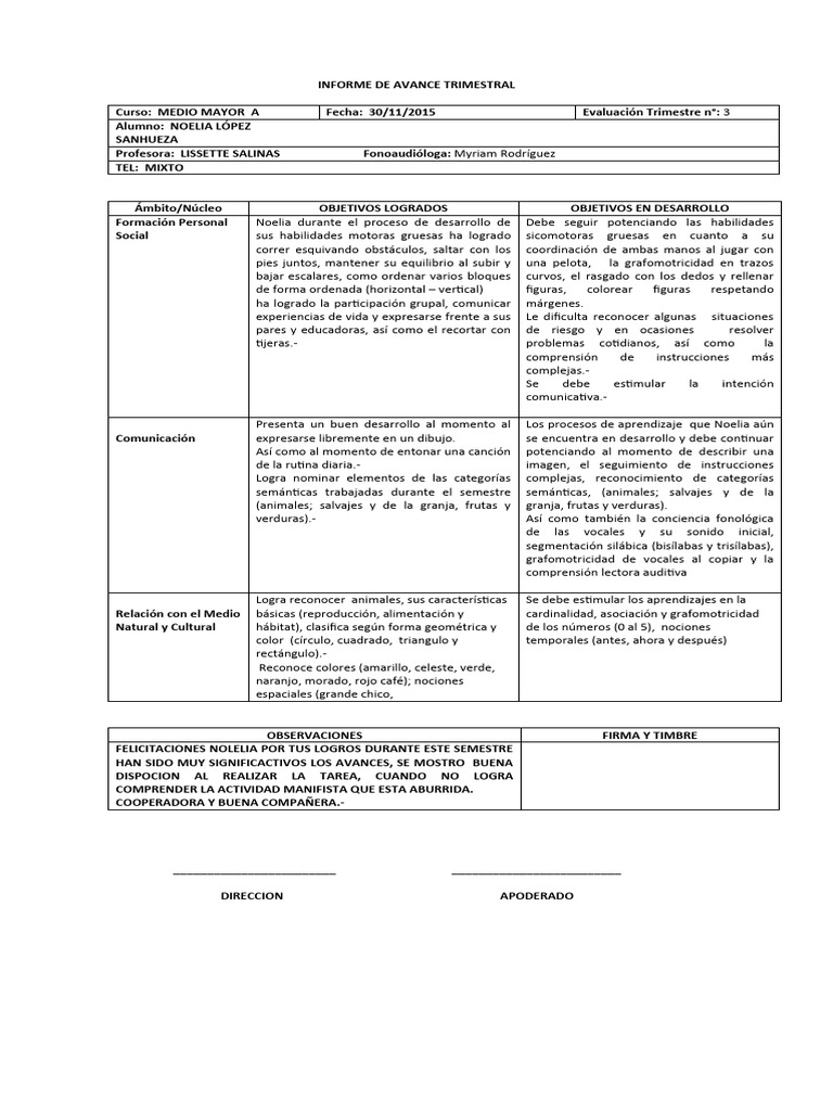 Informes Tercer Trimestre Cualitativo | PDF | Comprensión lectora | Color