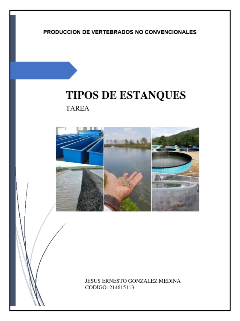 Tarea 4. Tipos de Estanques | PDF