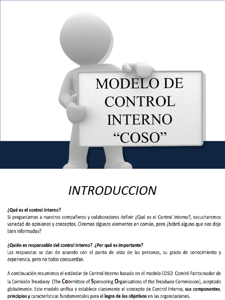 Control Interno Organizacional | PDF