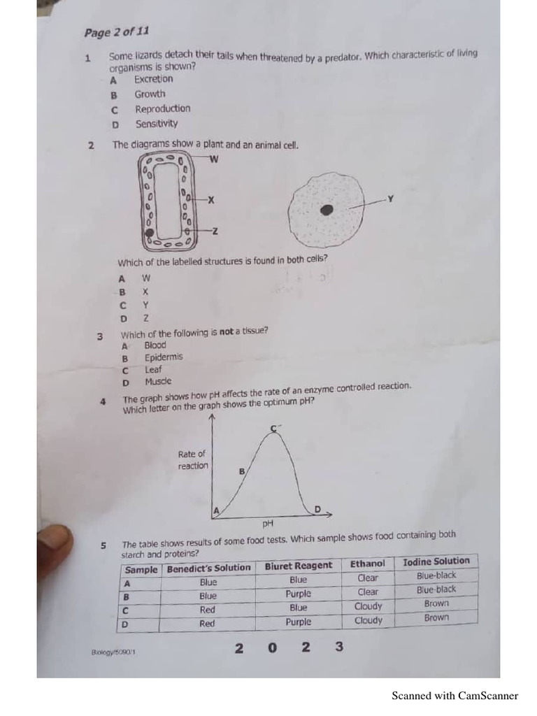Biology P1 2023 Gce | PDF Biology P1 2023 Gce | PDF