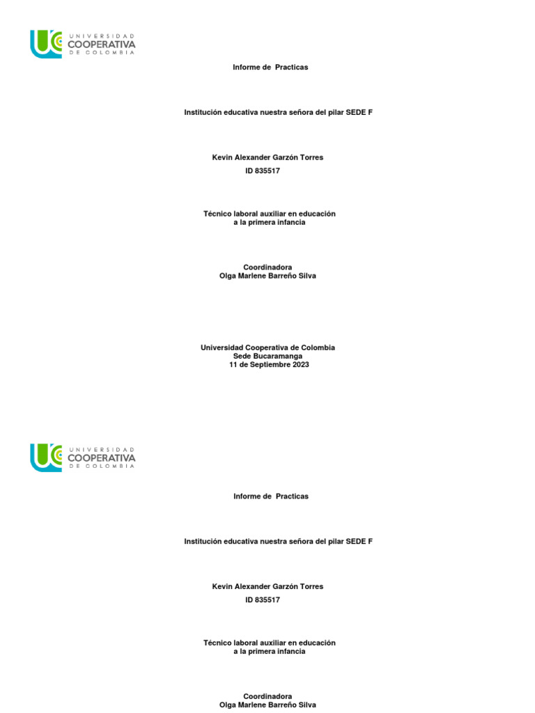 Formato de Practicas | PDF