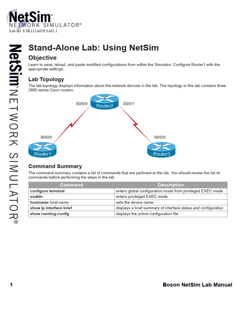 Using Netsim | PDF | Command Line Interface | Router (Computing)