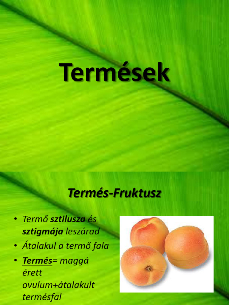Termések v2 | PDF