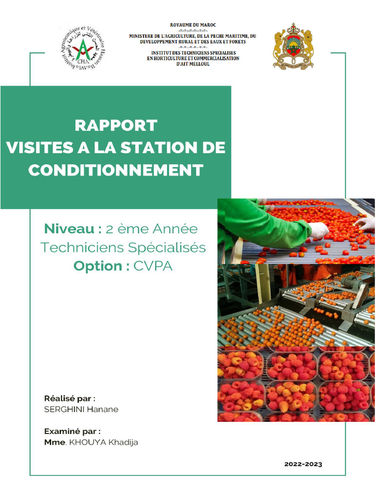 SERGHINI Hanane Numéro 21 Rapport Des Visites | PDF | Tomate | Transport