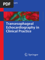 TTE TEE Report Template | PDF