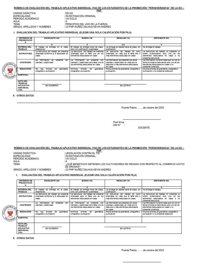 RÚBRICA_EO_PNP_PERSEVERANCIA - C3 PNP NUÑEZ | PDF | Evaluación | Cognición