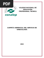 Código ERI: Respuesta Inmediata Obstétrica | PDF | Enfermería | Partería