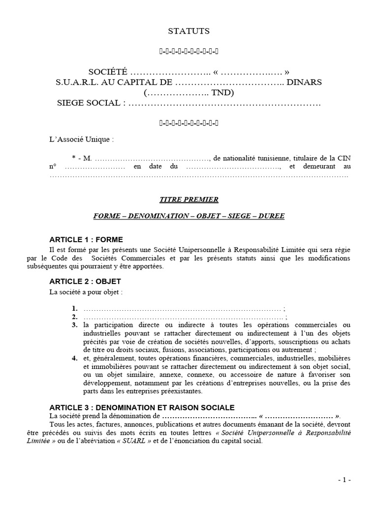 Modele Statuts Suarl | PDF