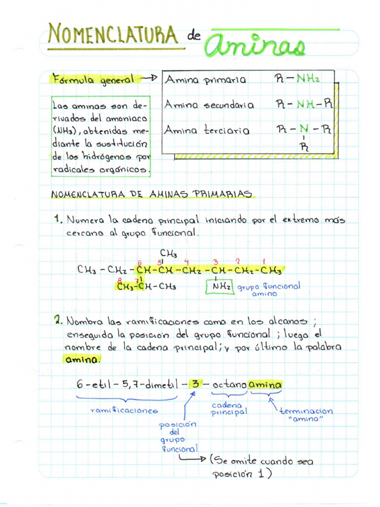 Tema 4.5 Nomenclatura de Aminas y Amidas | PDF