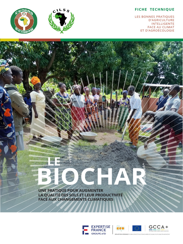 L8 Biochar Fiche Technique Bonnes Pratiques - Capi AIC AE - GCCAAO ...