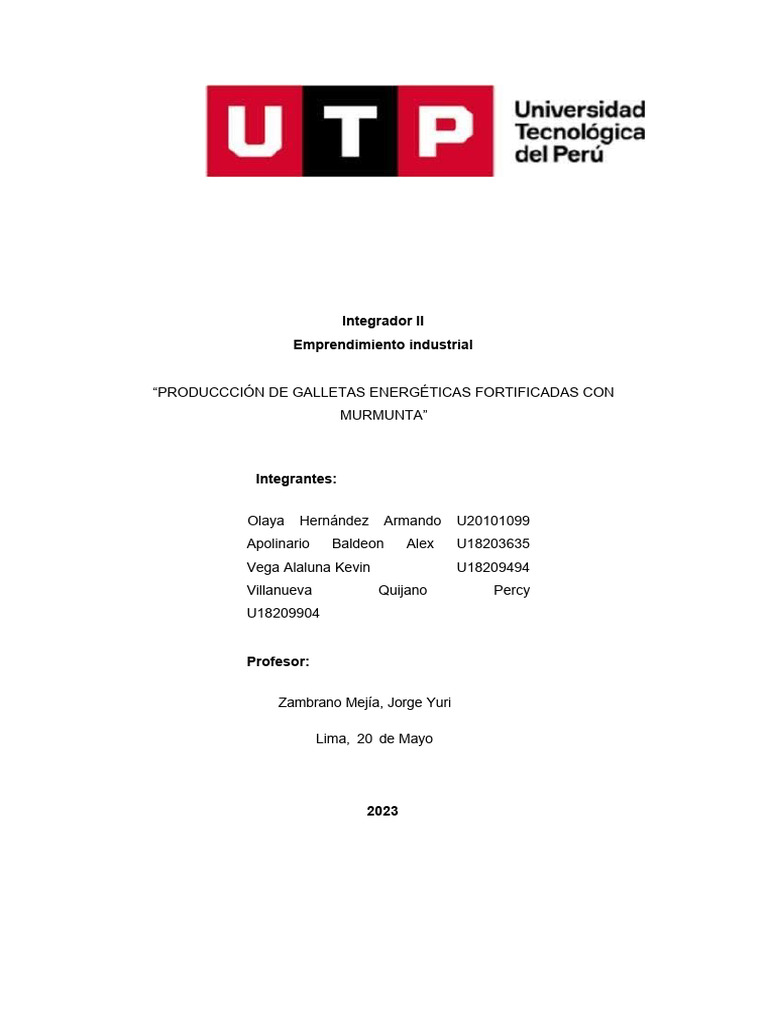 Gr. 5 Integrador II Murmunta | PDF | Marketing | Producto (Negocio)