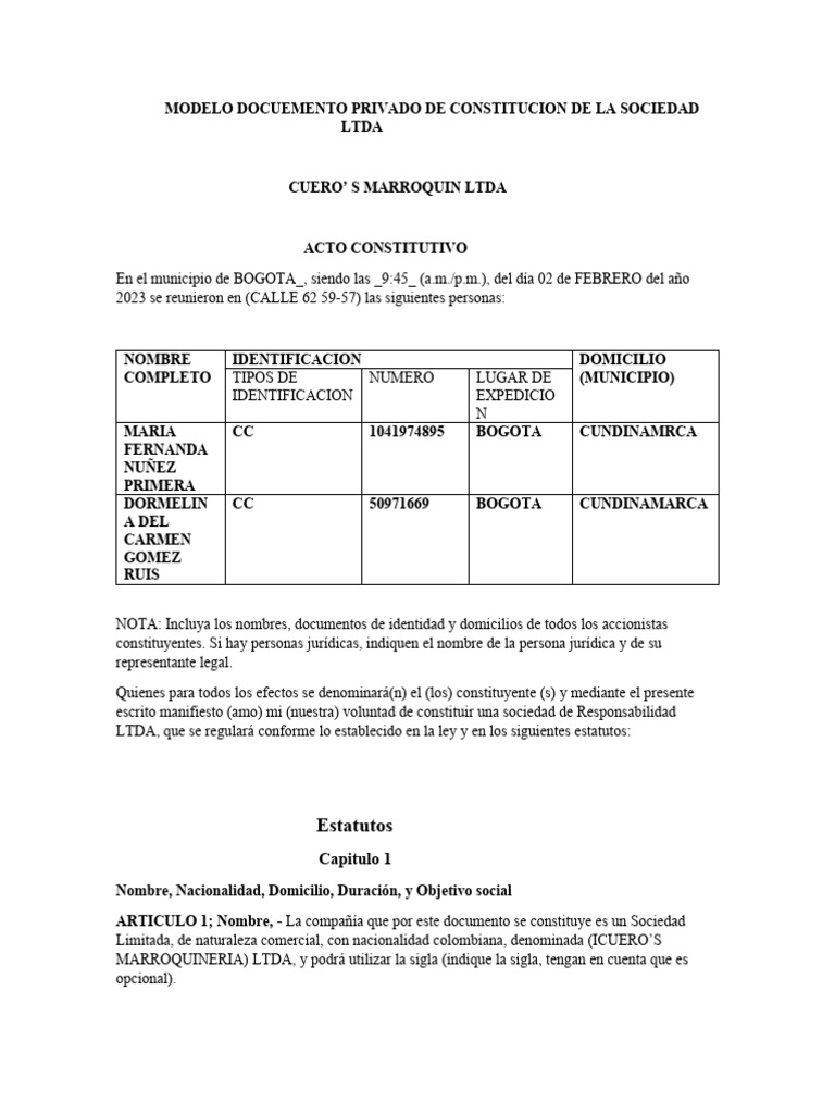 Modelo Docuemento Privado de Constitucion de La Sociedad | PDF | Negocios | Derecho