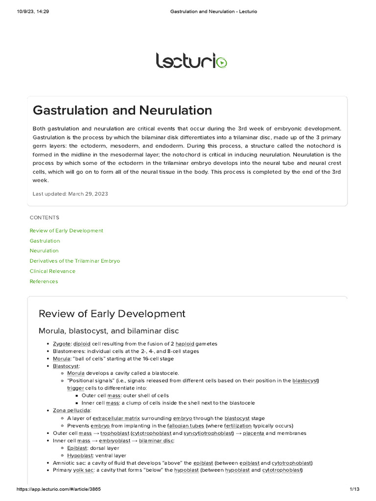Gastrulation and Neurulation - Lecturio | PDF