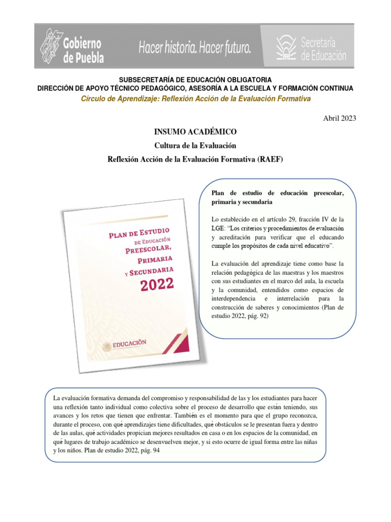 CA - RAEF - Insumo | PDF | Crecimiento personal y profesional | Relaciones personales, crianza y ...